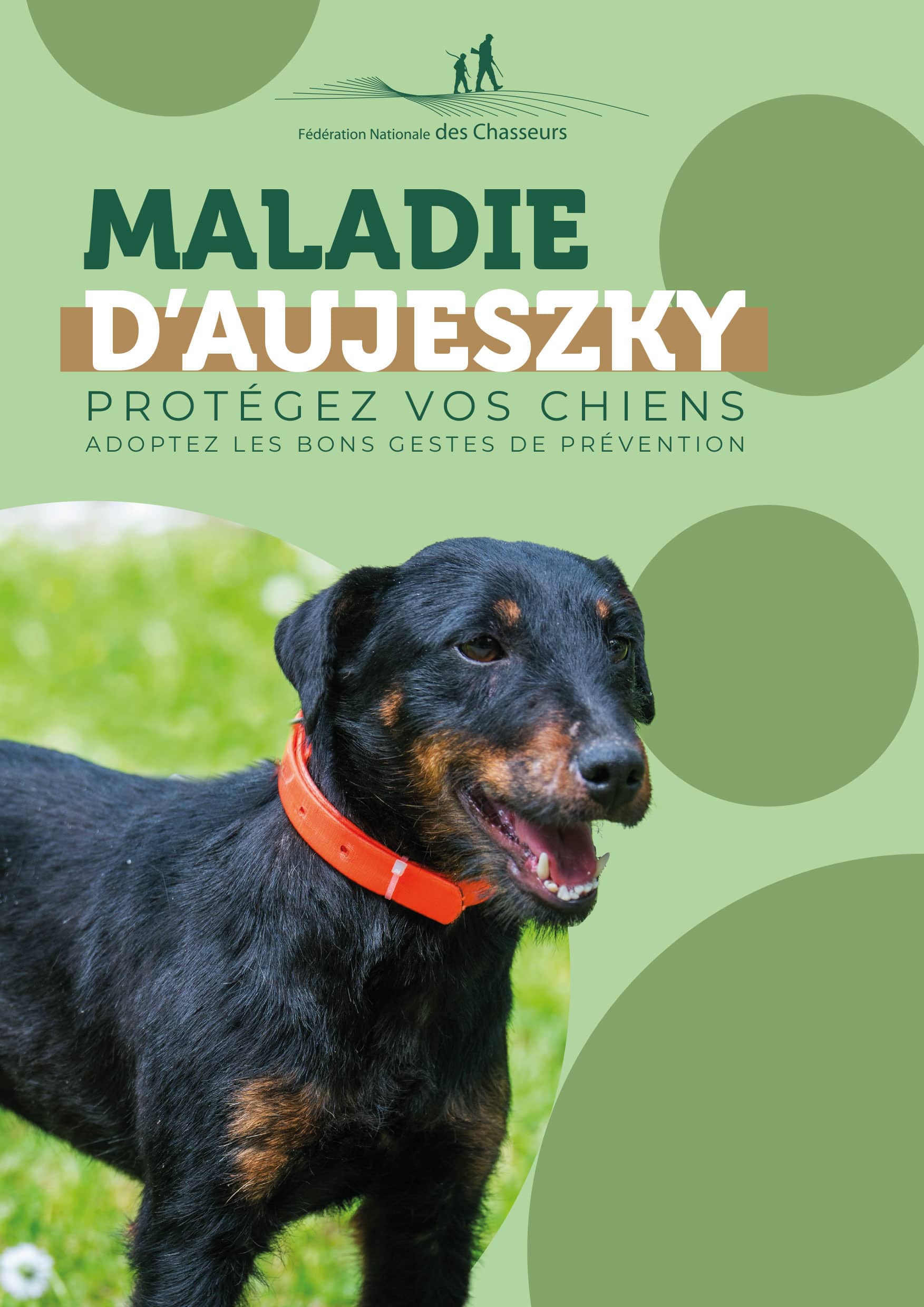 Alerte sanitaire – Cas de maladie d’Aujeszky en Seine-Maritime - FDC76